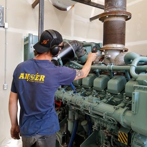 Mushroom Farm - Anser Power Systems & Electrical Contracting